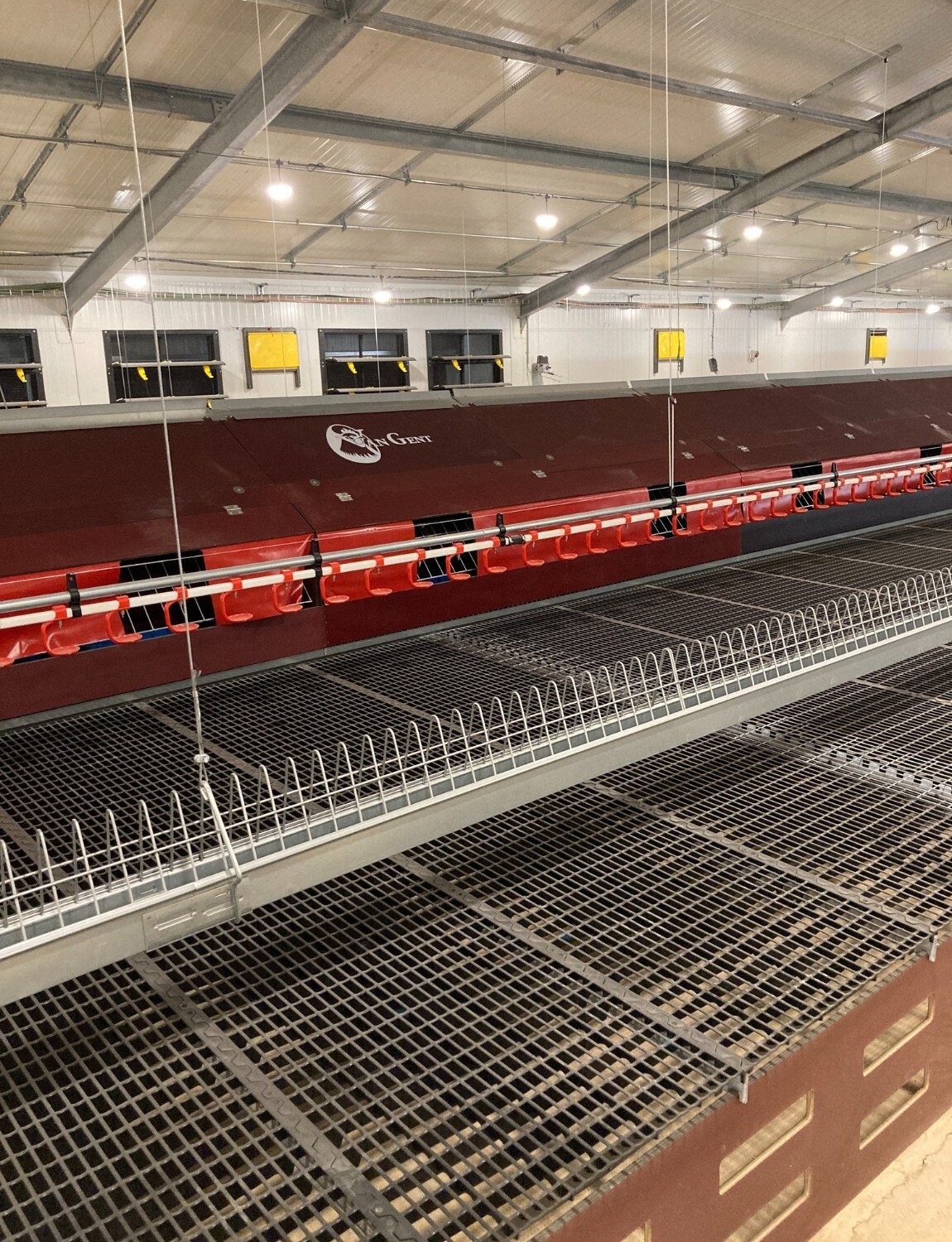 Poultry housing broiler breeders - Vencomatic Group